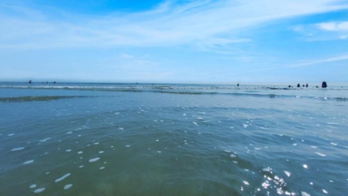 Junput Sea Beach: দিঘার ভিড় এড়িয়ে চলে অসুন এই অচেনা সৈকতে ...