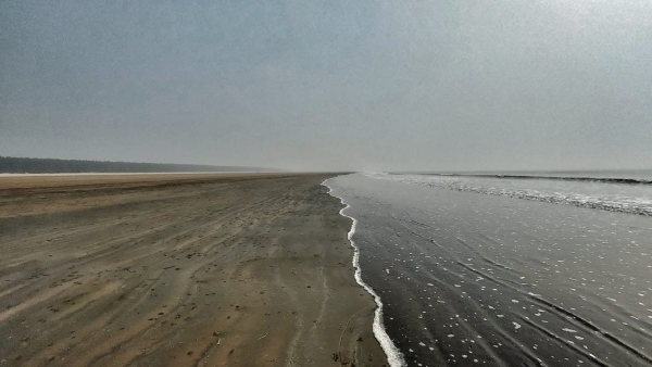 Junput Sea Beach: দিঘার ভিড় এড়িয়ে চলে অসুন এই অচেনা সৈকতে ...