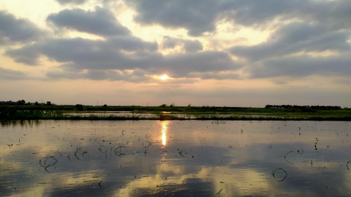 Bortir Bill: মিনি ডাল লেক, কাশ্মীরের ছোঁয়া পেতে চলে আসুন কলকাতার ...