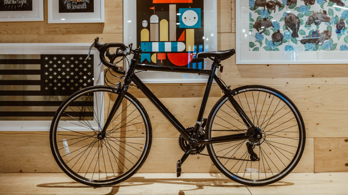 Stryder Zeeta (Plus) : এক কিমি যেতে খরচ মাত্র ১০ পয়সা! ই-সাইকেলে পথ ...