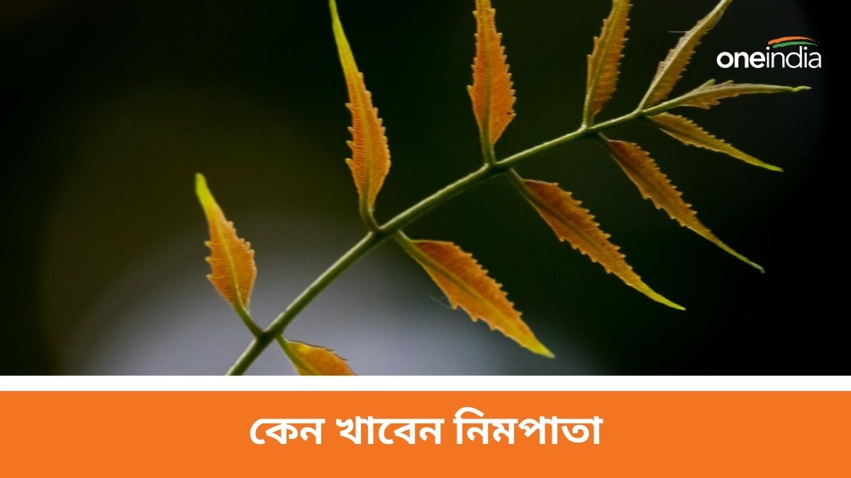 Neem Benefits: তেতো বলে নাক সিটকাচ্ছেন! সুস্থ থাকতে ভরসা রাখুন নিম ...