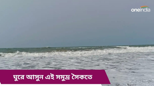 Travel: ভেটকি-ইলিশের স্বাদ নিয়ে সৈকত ভ্রমণ উপভোগ করতে চান, চলে আসুন ...