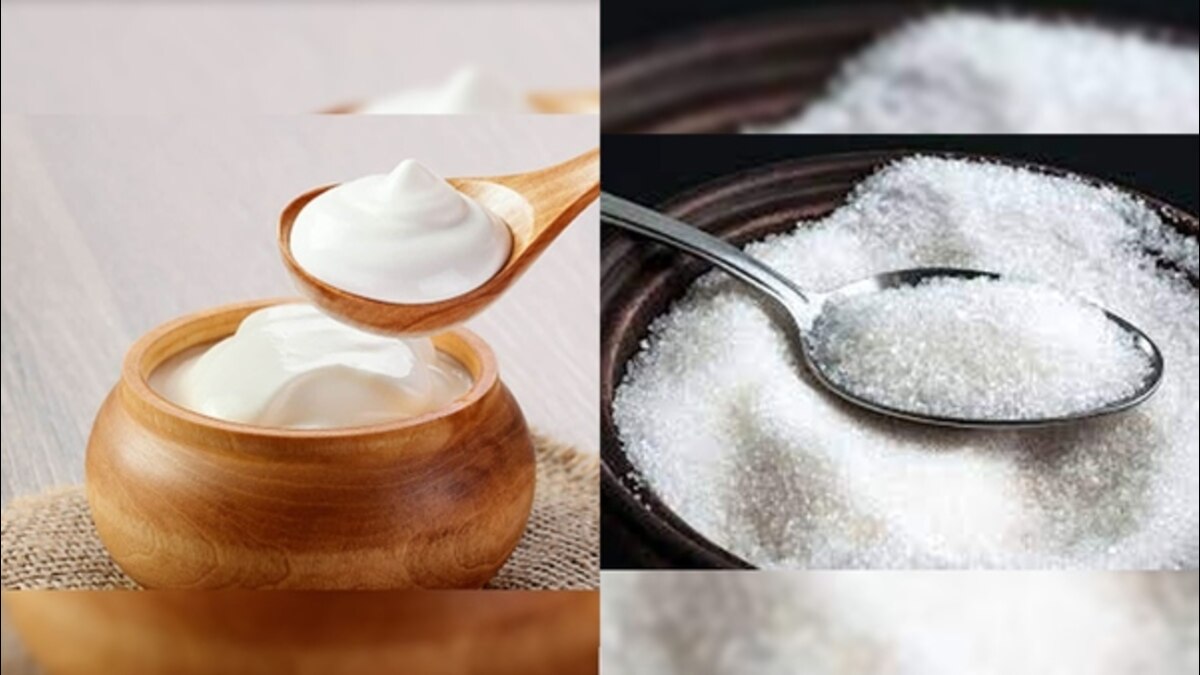 દહીં-સાકર ખાવુ માનવામાં આવે છે શુભ, અહીં જાણો આ પ્રથા પાછળનુ વૈજ્ઞાનિક ...