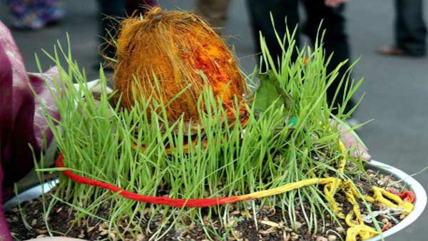 Navratri Puja Jawara: નવરાત્રિ પૂજા દરમિયાન ઉગેલા જવારાનુ શું કરવુ ...