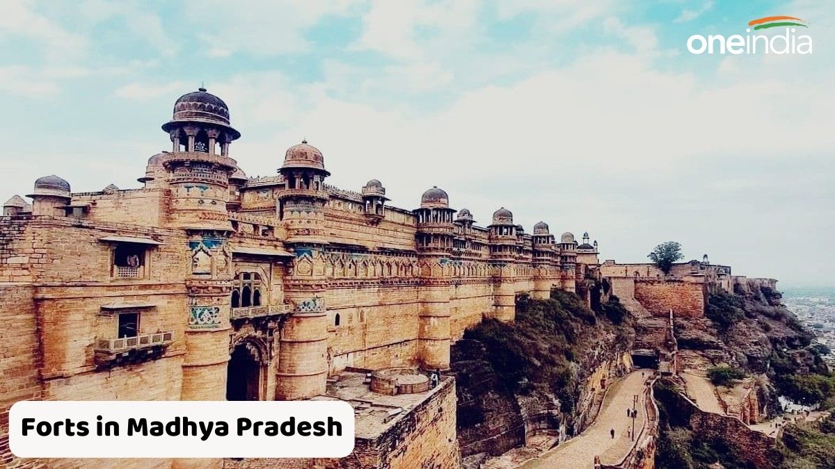 Forts in Madhya Pradesh: મધ્યપ્રદેશમાં આવેલા છે આ 5 સુંદર કિલ્લાઓ ...
