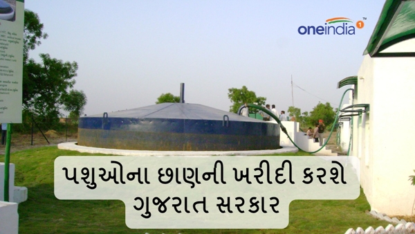 પશુઓના છાણની ખરીદી કરશે ગુજરાત સરકાર, જાણો કિંમત | Gujarat government ...