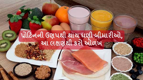Protein Deficiency: પ્રોટિનની ઉણપથી થાય ઘણી બીમારીઓ, આ લક્ષણથી કરો ઓળખ ...