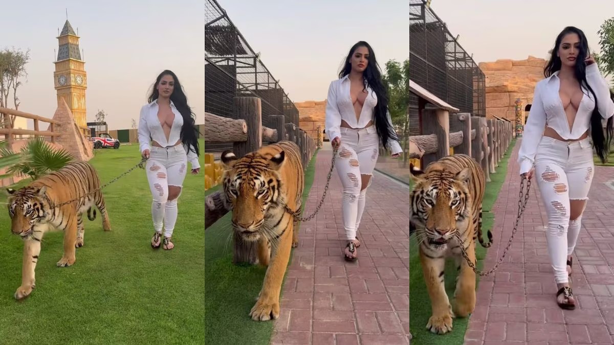 Nadia Khar Tiger Video : દુબઈમાં વાઘ સાથે ફરતી જોવા મળી બોલ્ડ હસીના ...