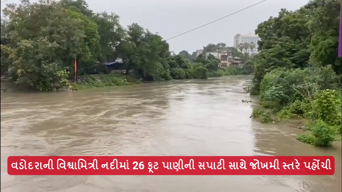 Vadodara Rain Update: વડોદરાની વિશ્વામિત્રી નદીમાં 26 ફૂટ પાણીની સપાટી ...