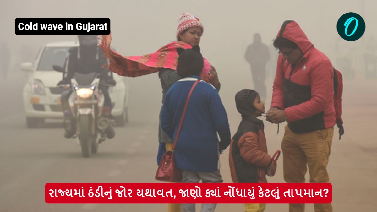 Cold wave in Gujarat: રાજ્યમાં ઠંડીનું જોર યથાવત, જાણો ક્યાં નોંધાયું ...