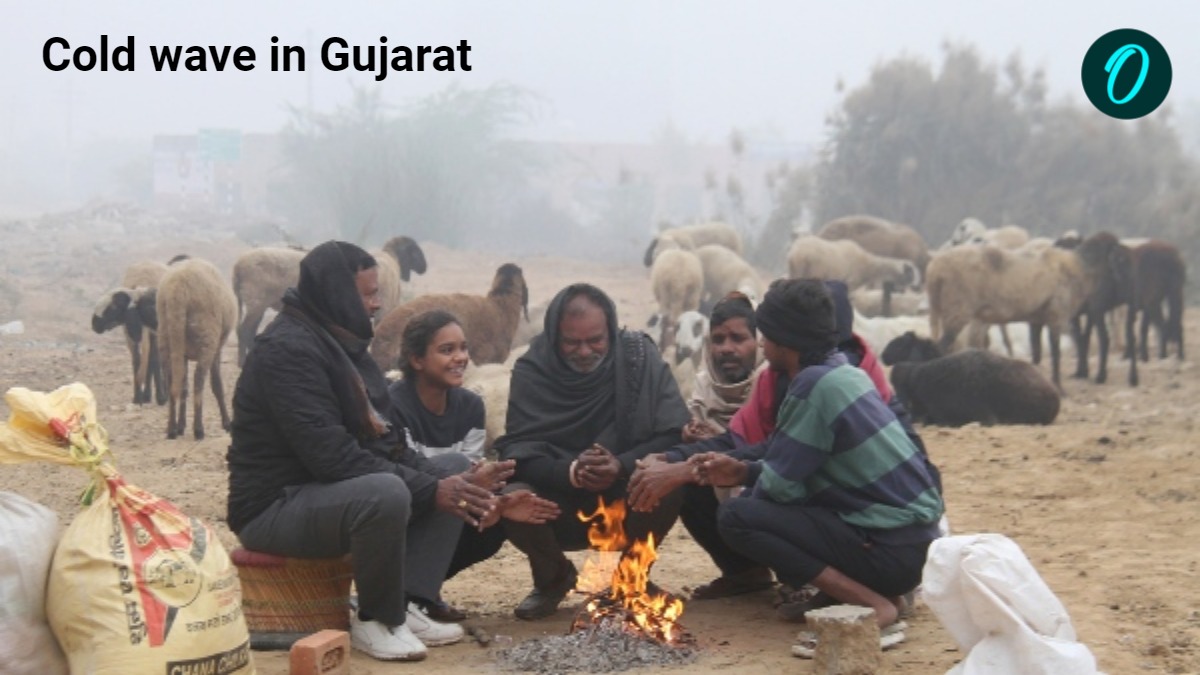 Cold wave in Gujarat: રાજ્યમાં હાડ થીજવતી ઠંડી, જાણો ક્યાં કેટલું તાપમાન? | Cold wave in Gujarat ...