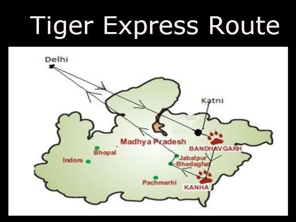 'टाइगर एक्सप्रेस' के बारे में रोचक बातें, जानें कैसे बुक करें टिकट ...