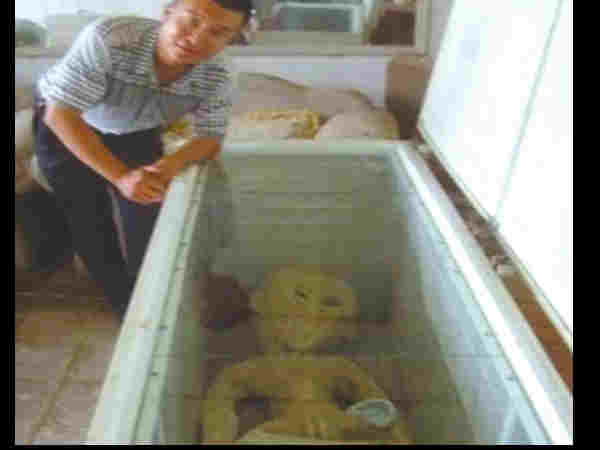 OMG! चीन के इस आदमी ने फ्रिज में किया एलियन को कैद | Chinese man to ...