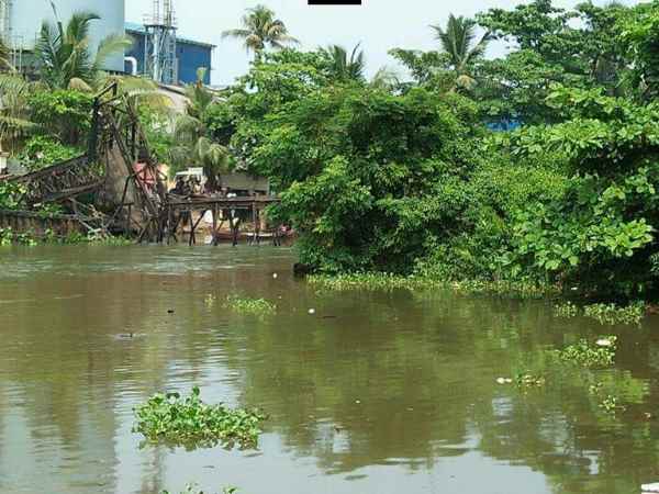 केरल: कोल्लम में नदी पर बना लोहे का पुल गिरा, 1 की मौत, 57 घायल ...