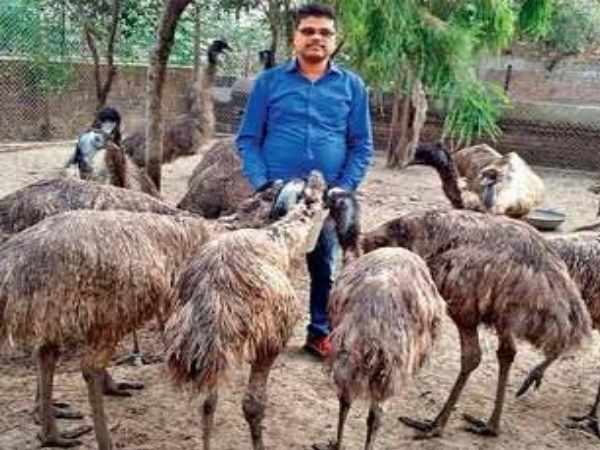 सिर्फ अंडों की बदौलत रईस बन गया ये शख्स, इस बिजनेस ने बना दिया मालामाल ...