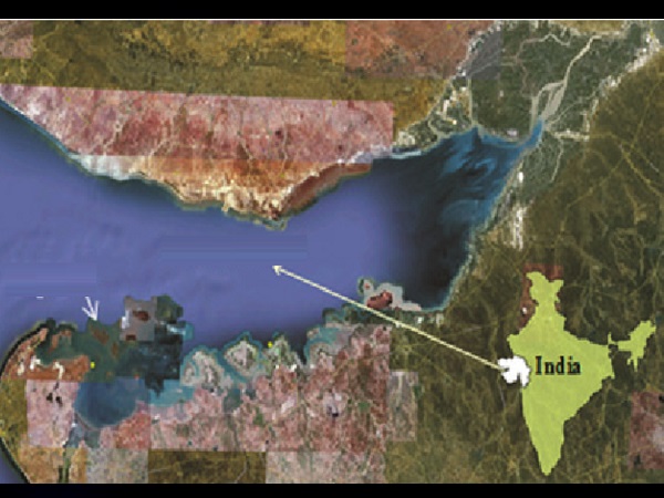 सबसे पुराने बंदरगाह का गुजरात सरकार ने रोका काम, पहली बार विधानसभा ...