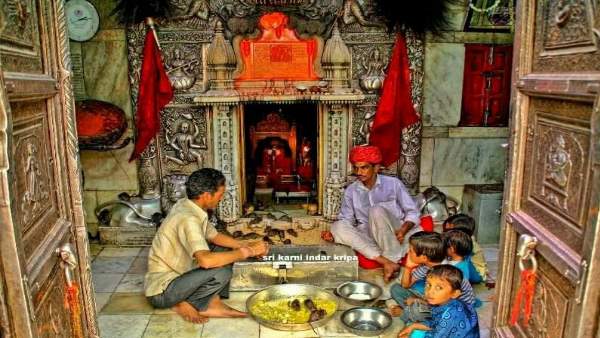 Deshnok: देश में करणी माता का इकलौता ऐसा मंदिर जहां रहते हैं 20 हजार ...