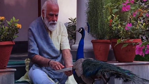 पीएम मोदी के मोर वाले वीडियो पर सवाल, राजद ने दिलाई लालू प्रकरण की याद ...