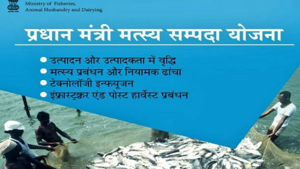 PMMSY: जानिए क्या है प्रधानमंत्री मत्स्य संपदा योजना, आज PM मोदी करेंगे ...