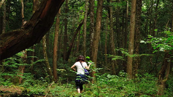 रहस्यमयी पेड़ को काटने के लिए मारी कुल्हाड़ी, अंदर से निकल आया कुछ ऐसा ...