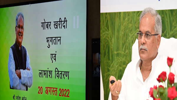 गोधन न्याय योजना के तहत 5.24 करोड़ रूपए का भुगतान,सीएम भूपेश ने भेजे हितग्राहियों खाते में पैसे ...