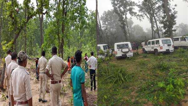 Chhattisgarh: हसदेव अरण्य के 45 हेक्टेयर में काटे गए 8 हजार पेड़, भारी ...