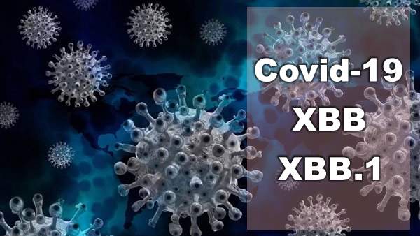 Coronavirus New Variants कितने खतरनाक, क्या हैं कोविड-19 के XBB और XBB.1 वेरिएंट ? जानिए सबकुछ ...