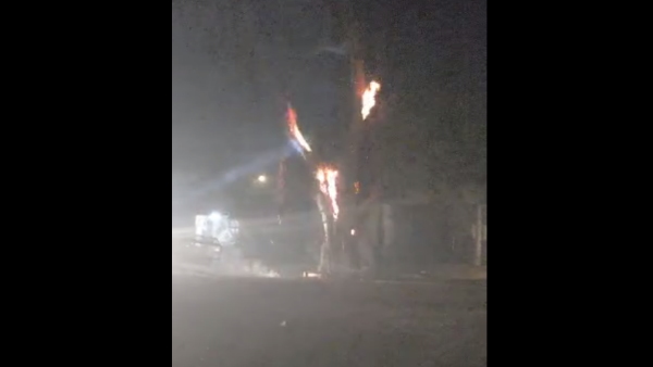 Gonda : धू-धू कर जलते पीपल के पेड़ का वीडियो सोशल मीडिया पर वायरल ...