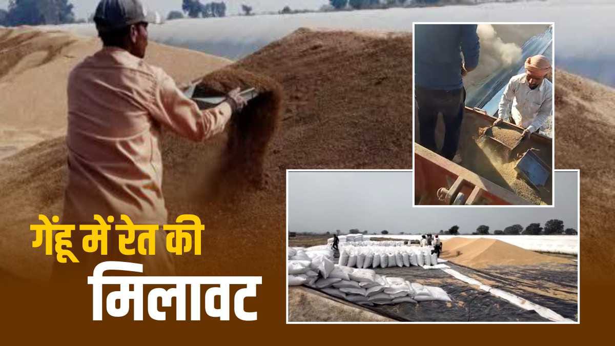 Video : सतना में समर्थन मूल्य पर खरीदे गए अनाज में मिलावट, धान के बाद ...