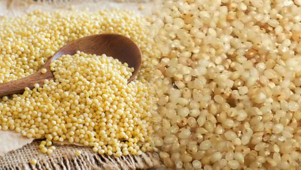Year of Millets: क्या है मिलेट मिशन 2023? क्यों दे रही सरकार इस पर इतना ...
