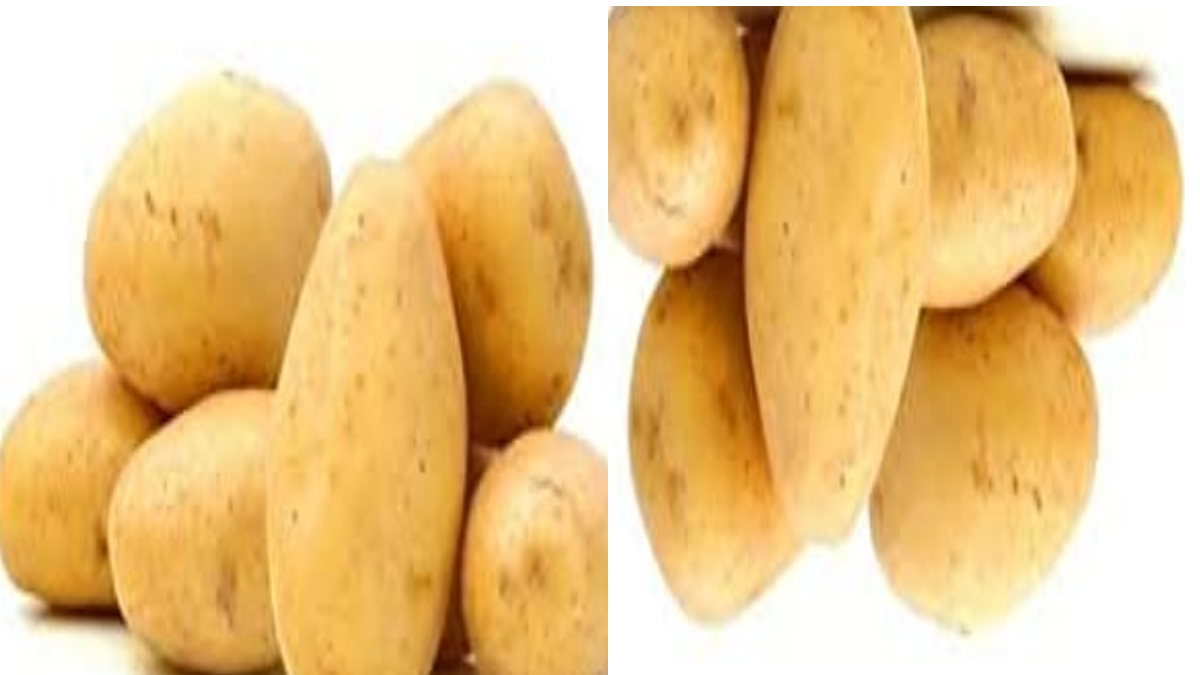 आलू को लेकर हो रहा बड़ा घोटाला, बाजारों में है 'Fake Potatoes' का ...