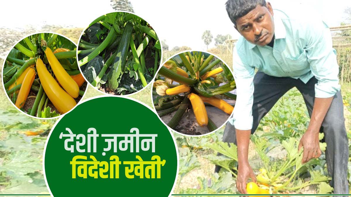 Bihar के पूर्णिया ज़िले में शशिभूषण कर रहे हैं विदेशी सब्ज़ी की खेती ...