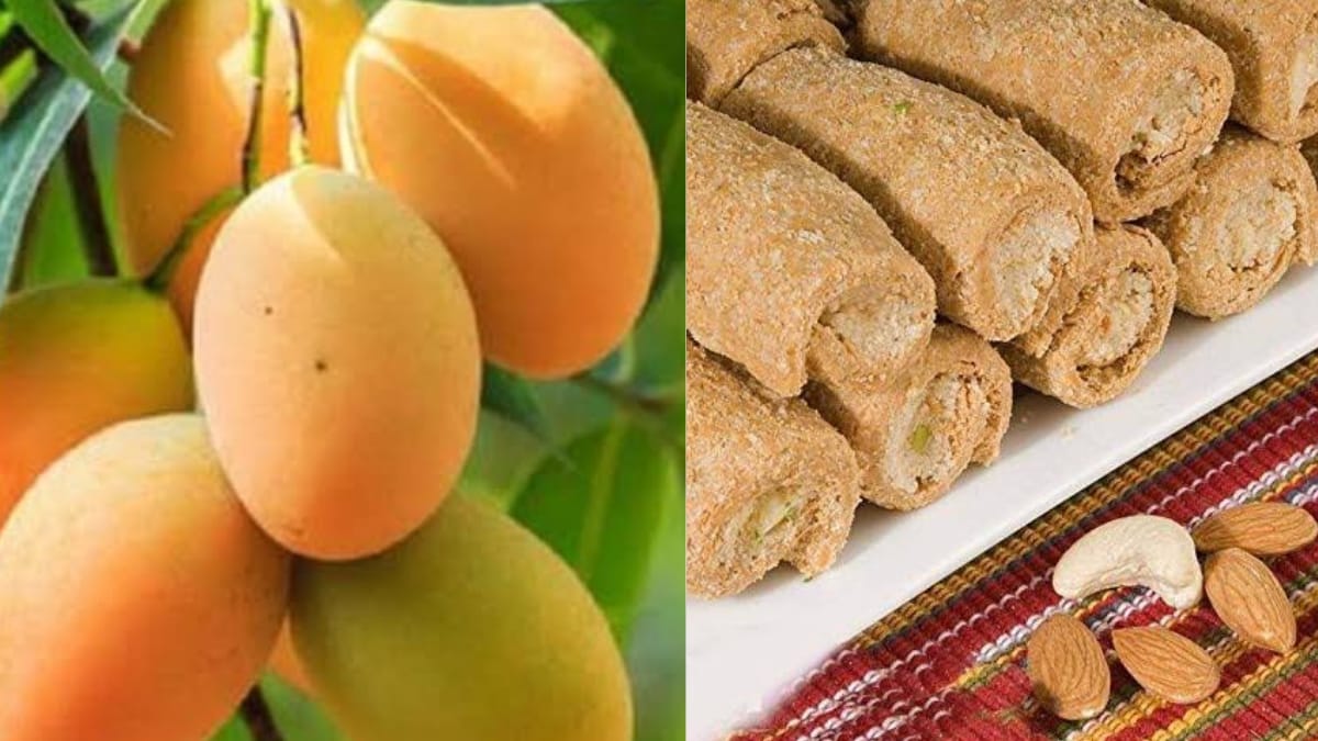 MP News: रीवा के सुंदरजा आम और मुरैना की गजक को मिला GI Tag,अब देश ...