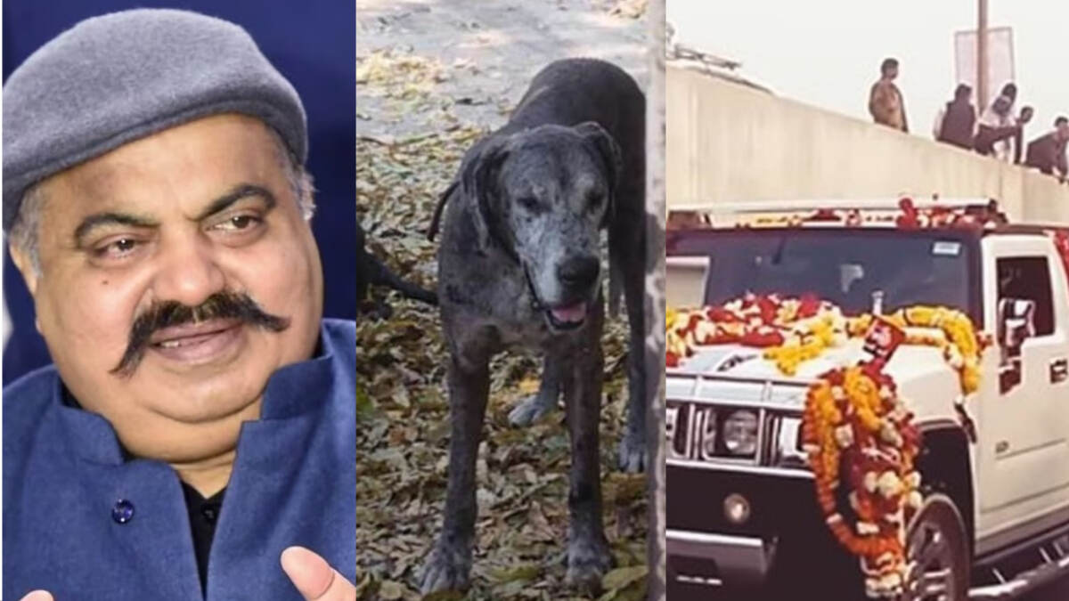 Atiq Ahmed Lifestyle: 6 खतरनाक कुत्ते, 8 करोड़ की गाड़ी से लेकर घोड़े ...