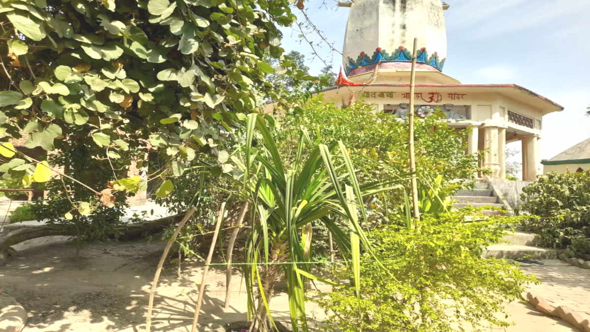 प्राचीन शिव मंदिर के प्रांगण में खिले केतिकी के फूल को देखने उमड़ी भीड़ ...