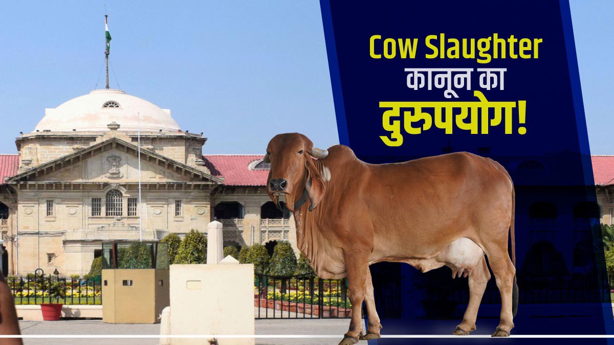 Allahabad High Court Cow Slaughter मामला: जांच में केवल गाय का गोबर ...