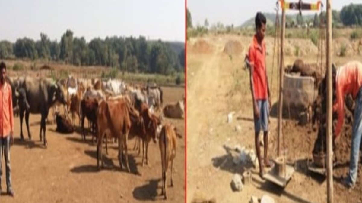 Jagdalpur: गोधन न्याय योजना ने बदली तकदीर, गोबर बेचकर सोनारू ने खरीदी ...