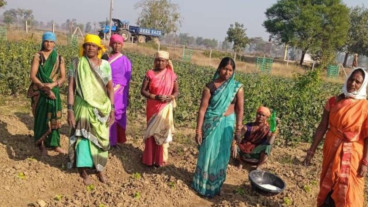 गरियाबंद : चारागाह में सब्जी उत्पादन कर आत्मनिर्भर हो रहीं स्व-सहायता ...
