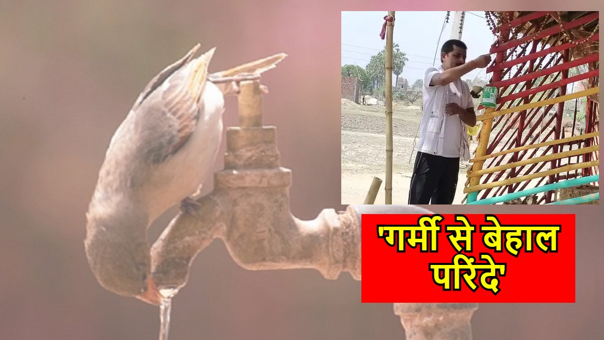 Bihar Weather: भीषण गर्मी में परिंदों के लिए ग्रामीण चला रहे मुहिम, पहल की हो रही तारीफ़ | Jamui ...