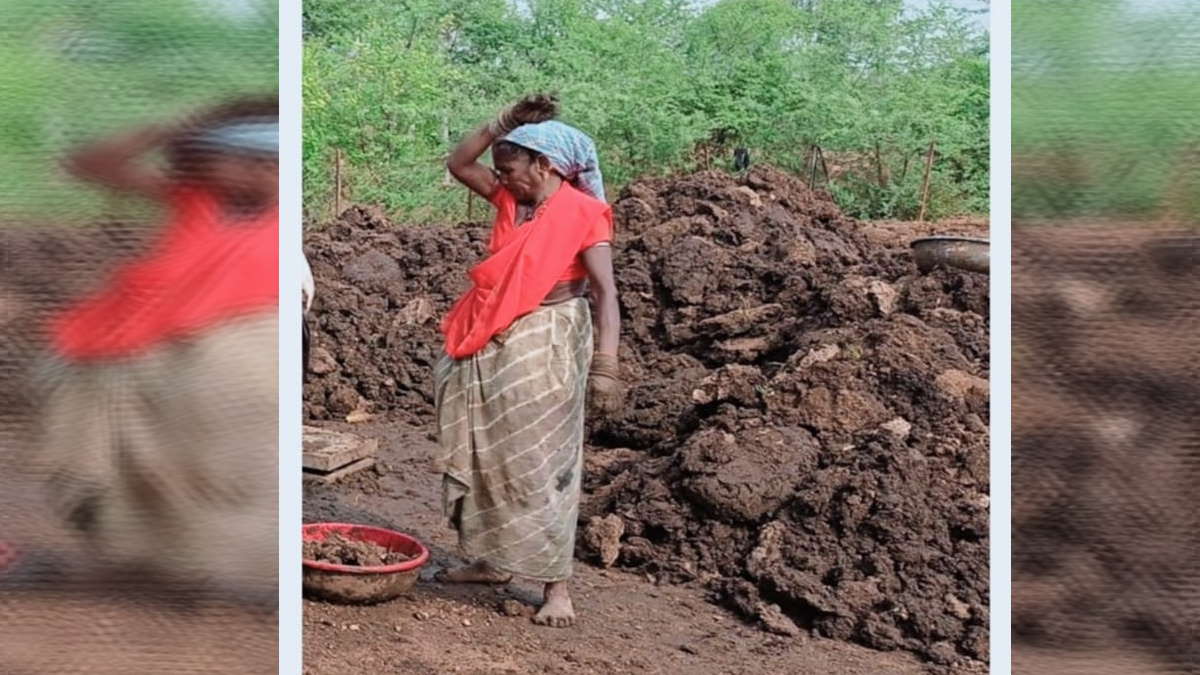 CG NEWS: गोधन न्याय योजना का ग्रामीणों का मिल रहा है लाभ, गोबर बेचकर ...