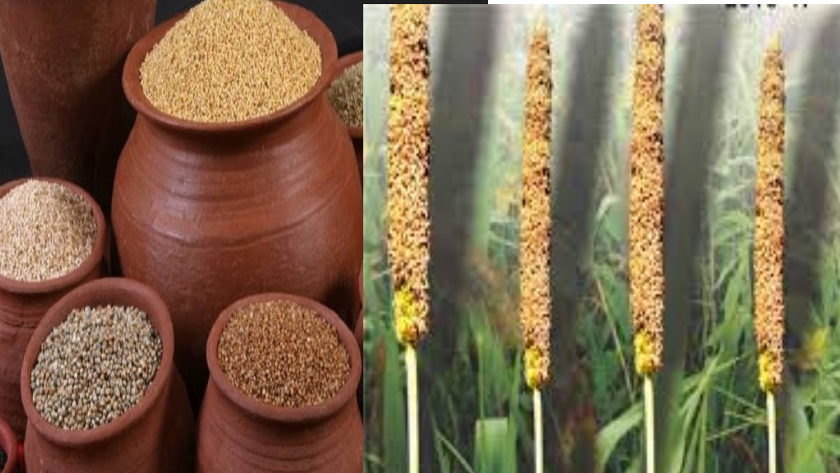 Odisha Millets Mission: ओडिशा के होटल व्यवसायी मेन्यू में बाजरे से बने ...