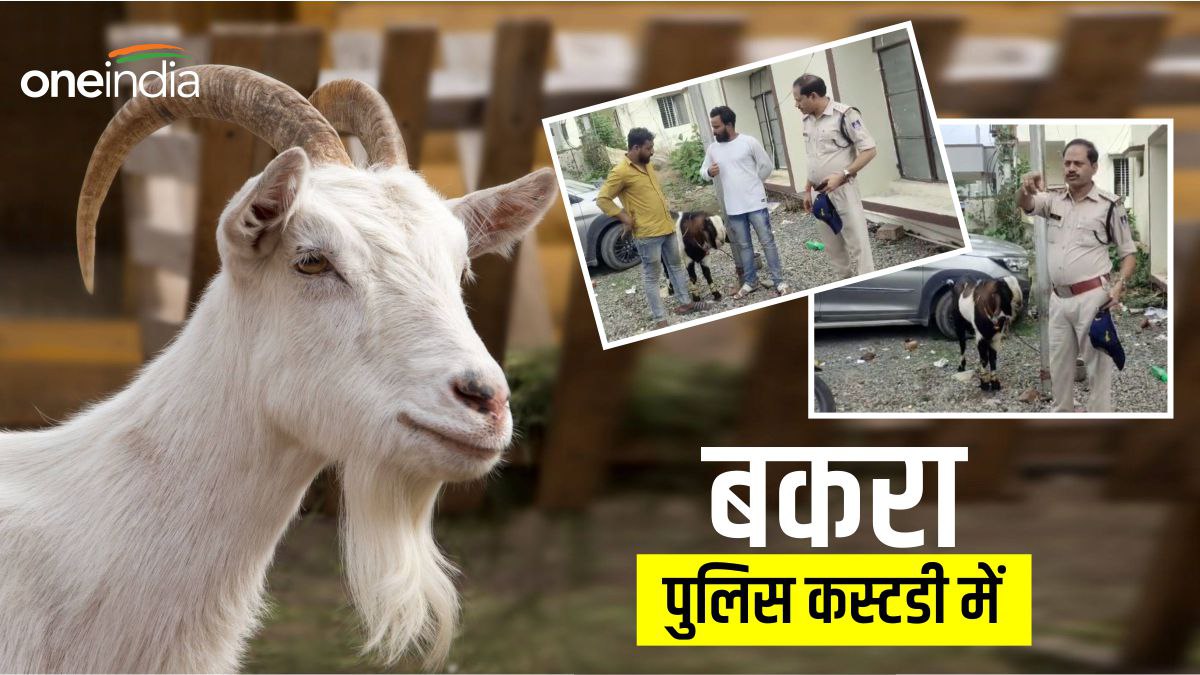VIDEO: बकरीद में कुर्बानी से पहले पुलिस हिरासत में बेजुबान जानवर, एक ...