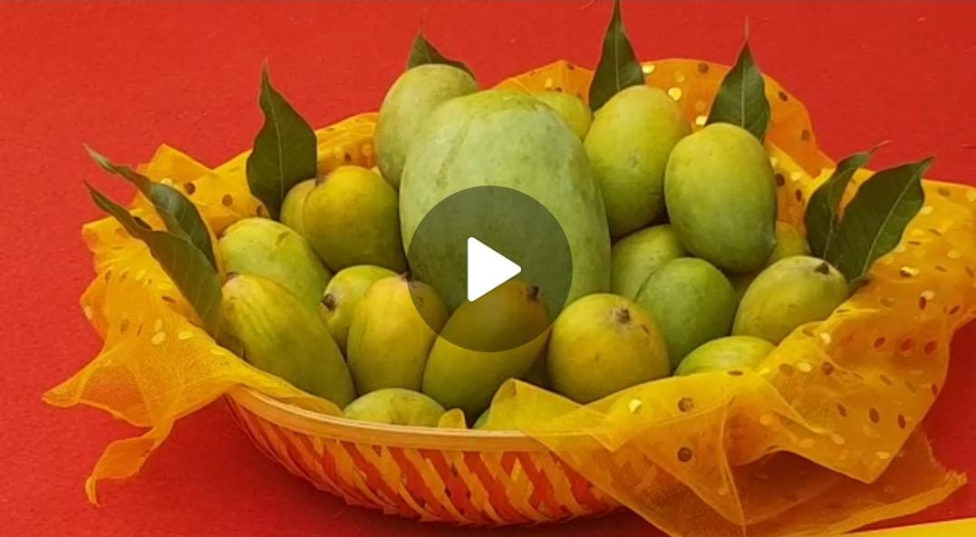 Bhopal: आम उत्सव में ढाई किलो का मैंगो नूरजहा, कीमत 1500 रुपए, आम्रपाली ...