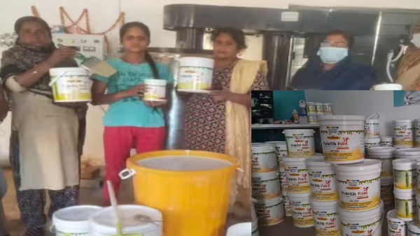 CG NEWS: गौठानों में गोबर से 2,66,155 लीटर प्राकृतिक पेंट उत्पादित | CG ...