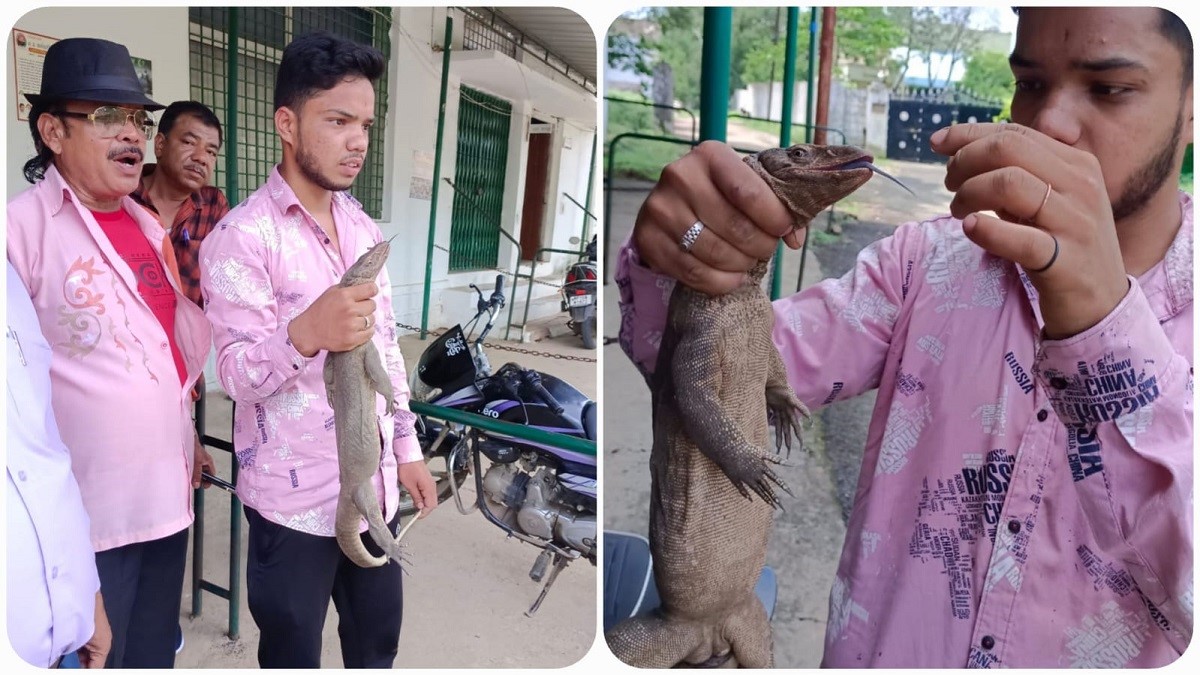 Nauradehi: जंगल छोड़ DFO कार्यालय में घुसी जहरीली 'गोह', दफ्तर छोड़ ...