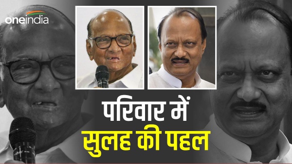 फिर साथ आएंगे शरद पवार और भतीजे अजित पवार? परिवार से ही शुरू हुई सुलह ...