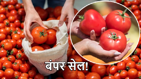 Tomato Discount Sale: कुछ घंटों में बिके 17 हजार किलो टमाटर, दाम सिर्फ ...