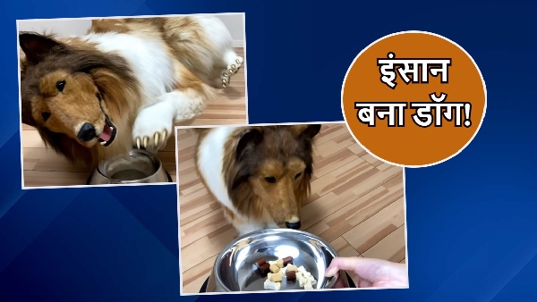 OMG! 12 लाख खर्च कर डॉग बना शख्स अब खा रहा ऐसा फूड, सामने आया ये VIDEO ...