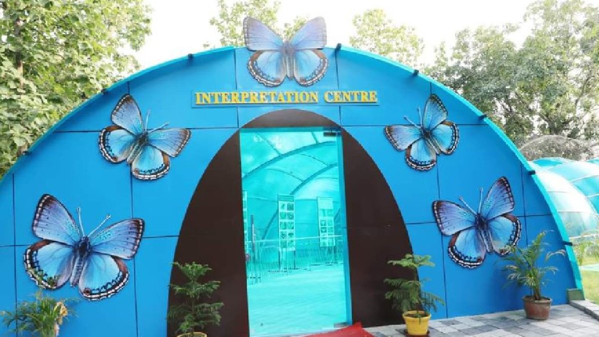 Mukundpur Tiger: मुकुंदपुर के बटरफ्लाई पार्क में देख सकते हैं हजारों ...