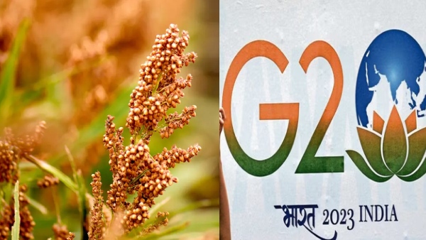 Year of Millets: विदेशी मेहमानों की थाली में बाजरे की डिश, खूब भाएंगे ...